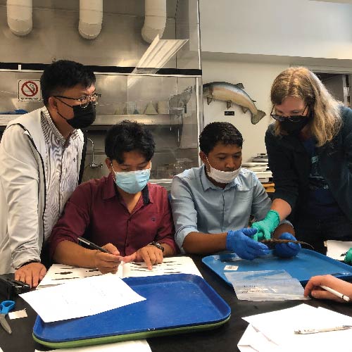 Fish Collection Provides Training for Cambodian Scientists | Burke Museum