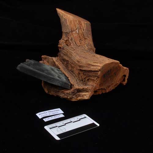 A story told in stone and wood: The Coast Salish and historic Seattle ...