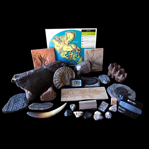 Geologic Time | Burke Museum