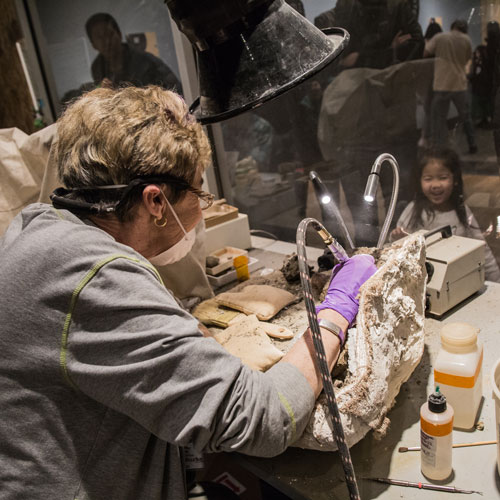 Educators & Schools | Burke Museum