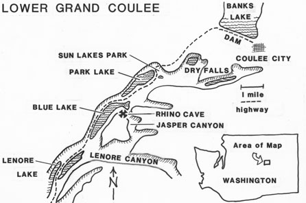 Where to see fossils in Washington state | Burke Museum