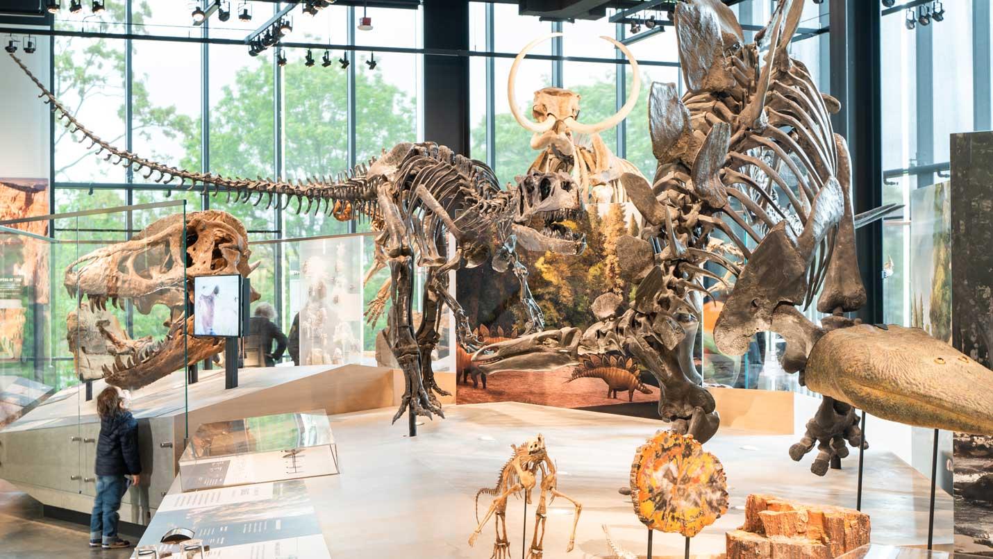 Tourism | Burke Museum